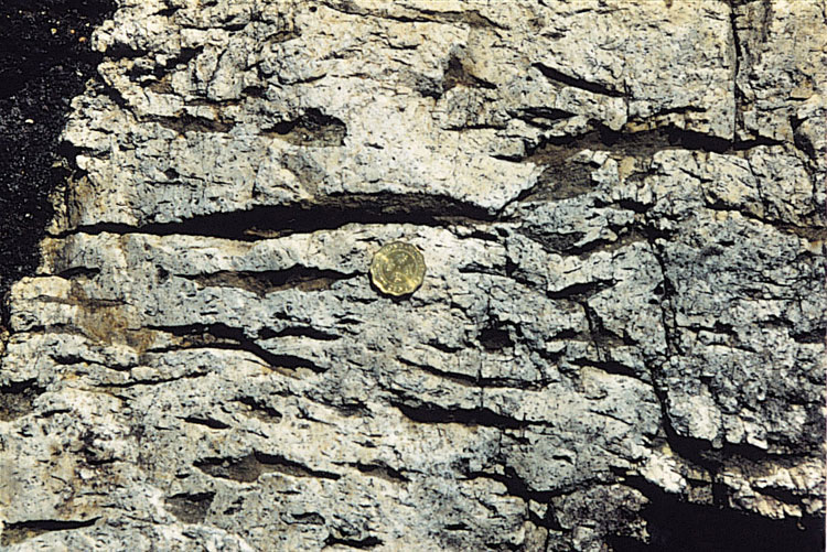 Ngo Mei Chau Formation - Krn