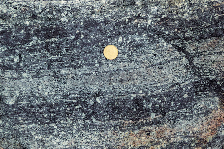 Sai Lau Kong Formation - Jtl