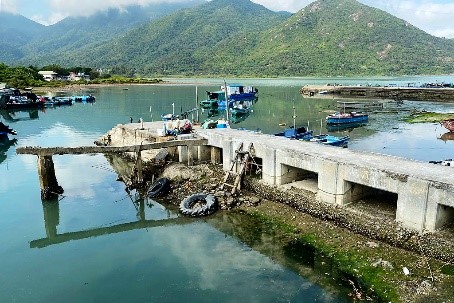 Topics in Focus - Pier Improvement Programme (PIP)