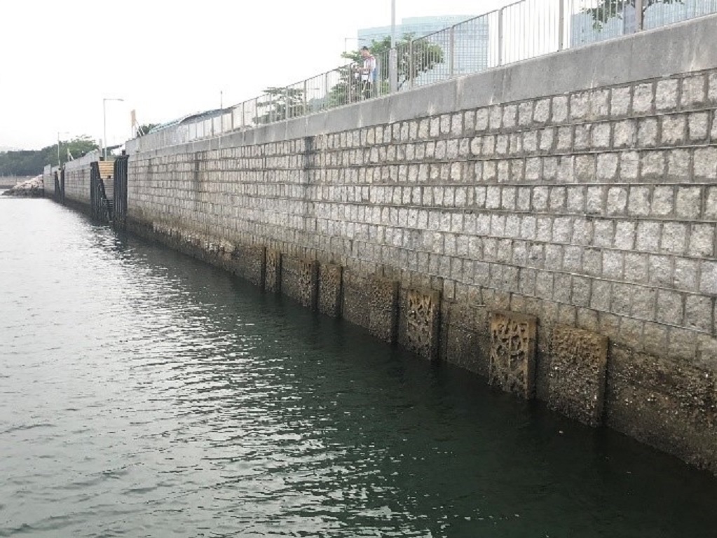 Topics in Focus - Coastal Enhancement and Shoreline Management